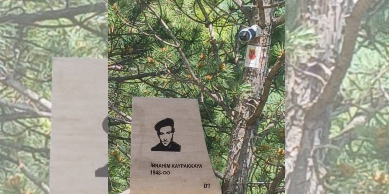 İbrahim Kaypakkaya’nın mezarına 7/24 kamera takibi