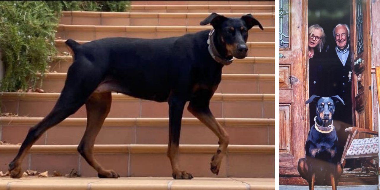 Kaybolan Korhan Berzeg'in eşi, 74 gün sonra dönen köpeği hakkında ...